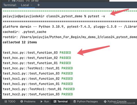 pytest——接口自动化 pytest接口自动化 csdn博客