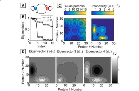 eigenvalue and eigenvector analysis of the mutual inhibition self download scientific diagram