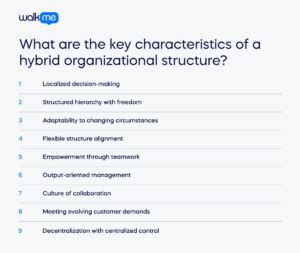 Hybrid Organizational Structure Definition Best Practices Examples