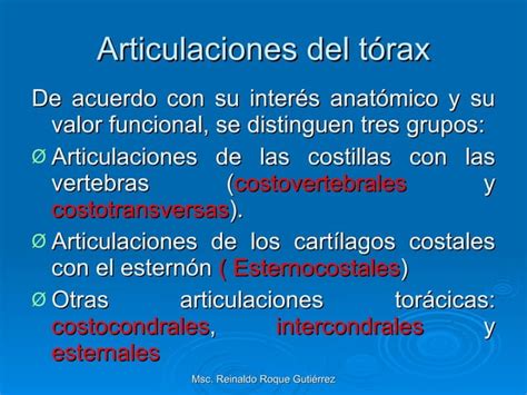 Huesos Y Articulaciones Del Tronco PPT