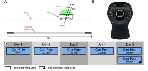 cart pole balancing task input device and experimental protocol a download scientific