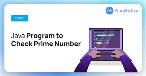 java program to check prime number