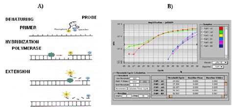 real time pcr a taqman probes b quantification curve download scientific diagram