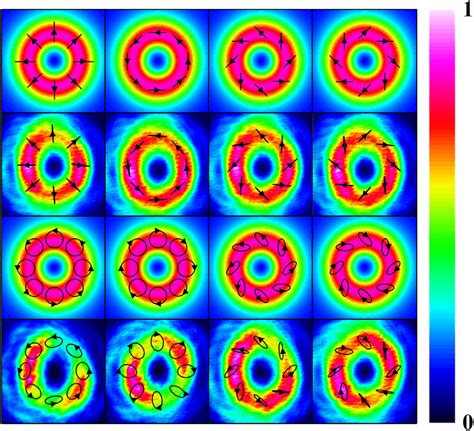 the polarization and intensity distributions of the vector vortex beams download scientific