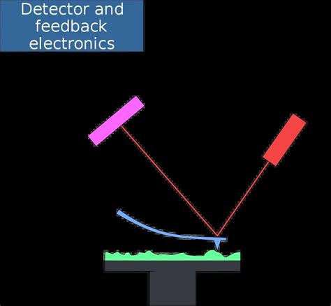 Atomic Force Microscope AFM Definition Principle Application