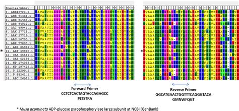figure 1 from single nucleotide polymorphisms in partial sequences of the gene encoding the