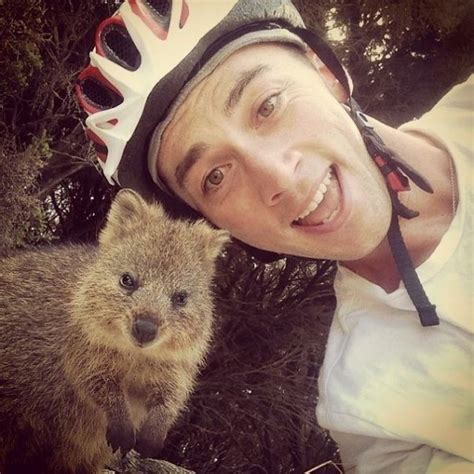 Selfies With Quokkas Is The New Hotness In Australia Strange Beaver
