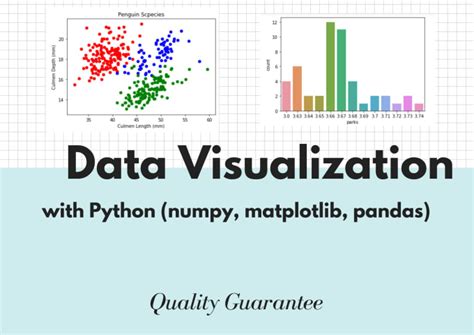 Visualize Data With Python Using Matplot Seaborn Numpy By Annisasyk Fiverr