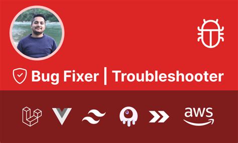 fix any bugs in your php laravel vue js application by krishnahimself fiverr