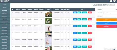 java毕设项目——网上宠物店管理系统 java ssm maven mysql jsp 宠物店管理系统的相关索引 csdn博客