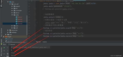 redis：使用java代码操作redis lect csdn博客