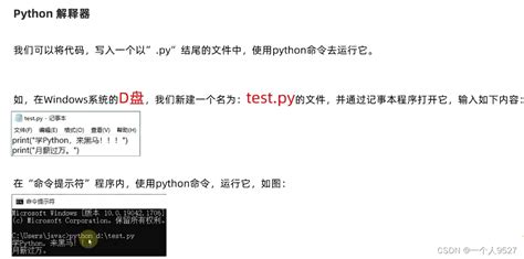 第一章 初识python csdn博客