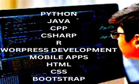 do python java cpp csharp c r web programming projects by laylamia fiverr