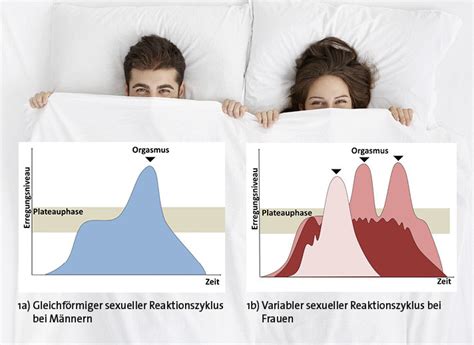 Sexuelle Dysfunktionen 1 Grundlagen Und Diagnostik • Doctorstoday