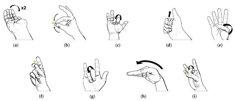 sensors free full text semg based hand gesture recognition using binarized neural network