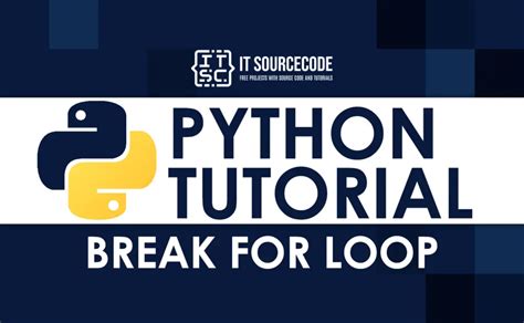 How Python Break For Loop With Examples