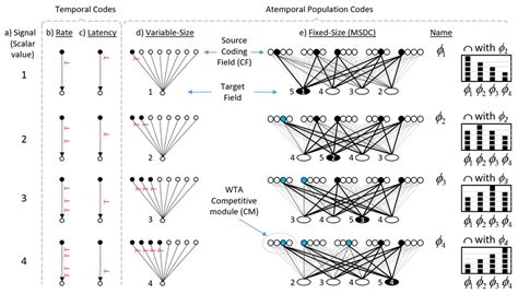 temporal vs non temporal spike coding concepts download scientific diagram