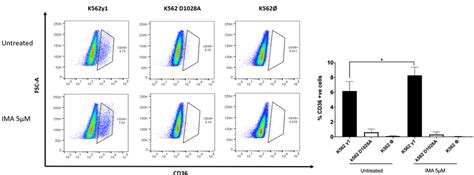 Flow Cytometry Analysis Of CD36 Surface Marker On K562 Subclones