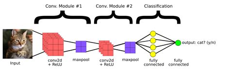 a hands on guide to build your first convolutional neural network model