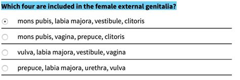 Solved Which Four Are Included In The Female External Genitalia Mons Pubis Labia Majora
