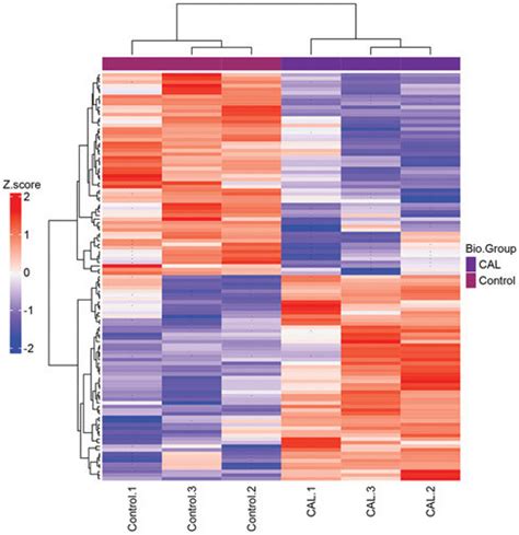 Clustering Heatmap Of The Significant Proteins In Comparison Of CAL