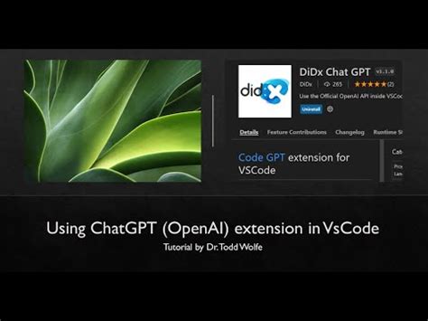 How To Use ChatGPT In VsCode Working With The DiDx Chat GPT OpenAI