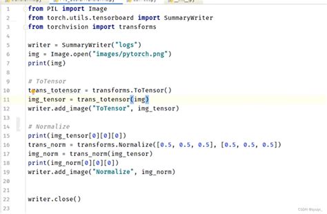 pytorch——transforms csdn博客