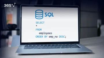 How To Work With The SQL GROUP BY Clause 365 Data Science