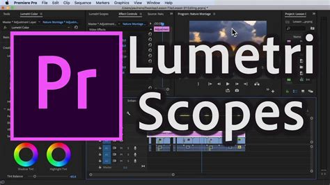 How To Use Read Lumetri Scopes In Premiere Pro CC 2020 YouTube