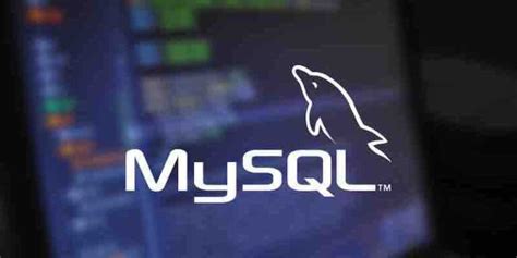 AUTO INCREMENT Columns in MySQL Özgür Özkök