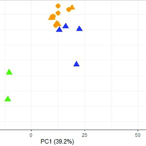 principal component analysis obtained using 3 242 proteins with missing download scientific