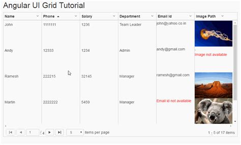 how to implement pagination and sorting with angular ui grid in mvc vrogue