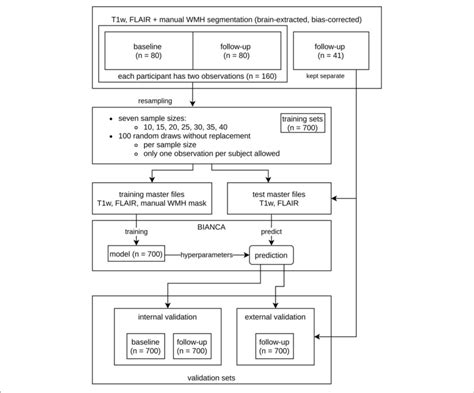 overview of the resampling procedure for training the brain intensity download scientific