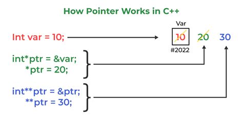 c pointer to pointer double pointer geeksforgeeks