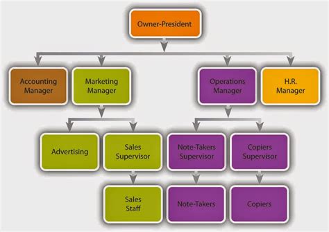Mcdonalds Organisational Structure Diagram Mcdonald Organiza