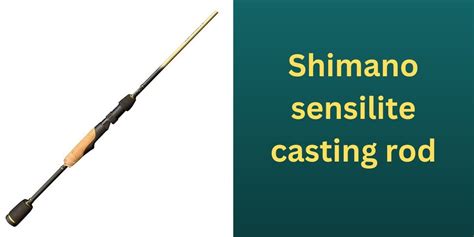 11 Best Travel Fishing Rod And Reel Combos Of 2024 Packable Powerful