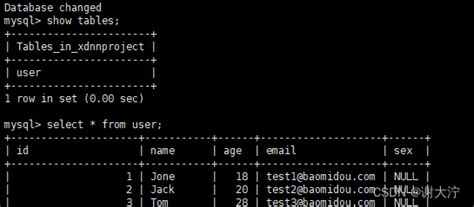 mysql从入门到精通 mysql 入门到镜头 csdn博客