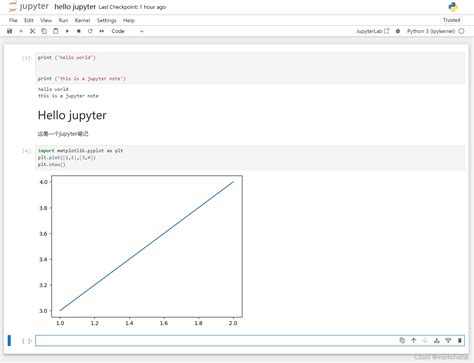 python使用jupyter记笔记 jupyter写代码时怎么做笔记 csdn博客