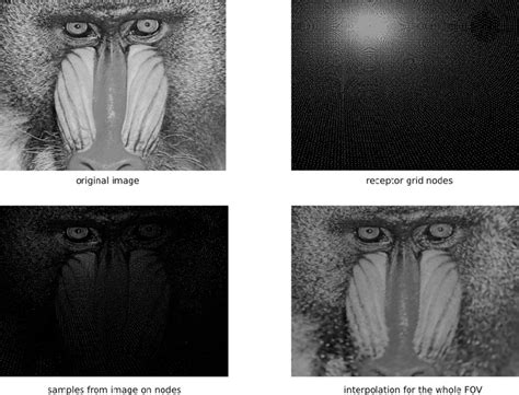 demonstration of sampling and interpolation steps with a sparse grid download scientific diagram