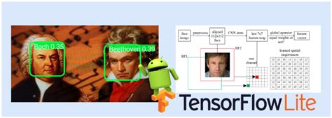 Real Time Face Recognition With Android Tensorflow Lite By Esteban Uri Medium