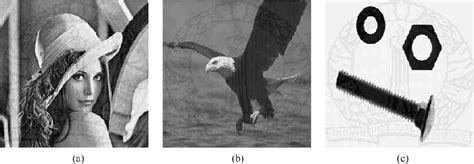figure 10 from a vlsi architecture for visible watermarking in a secure still digital camera s