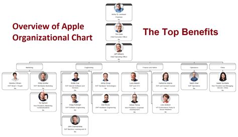 Company Organization Chart Ceo