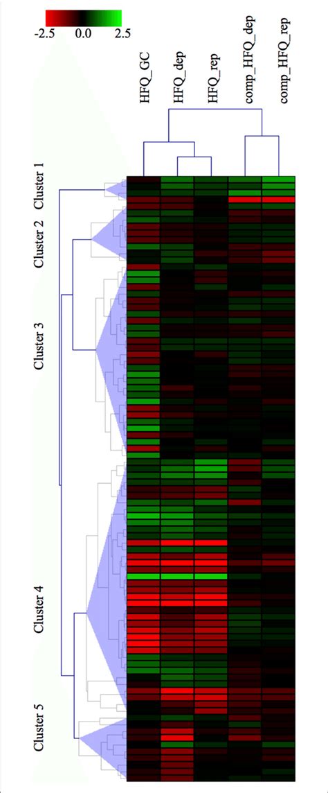 heatmap visualization of the hfq modulated transcripts heatmap download scientific diagram
