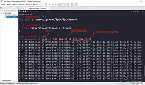 ensp kali实现arp欺骗攻击 ensp arp欺骗案例 python代码 csdn博客