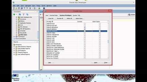 grant select on all tables oracle sql developer network