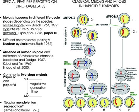 Venn Diagram Of Mitosis And Meiosis Wiring Diagram