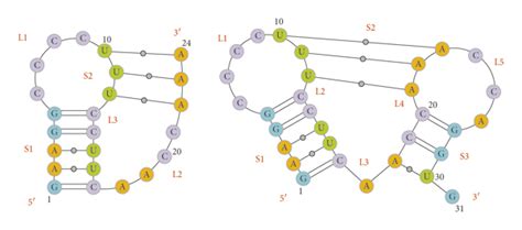 deep learning method for rna secondary structure prediction with pseudoknots based on large