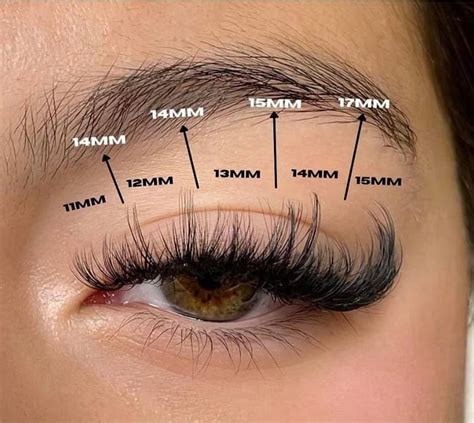 Wispy Lash Mapping Guide Sweet Eyelashes