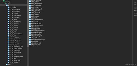 springboot activity6 mybatis plus dynamic多数据源配置 activiti dynamic datasource csdn博客