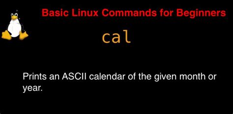 Cal Command In Linux With Examples DevopsRoles Better 2024
